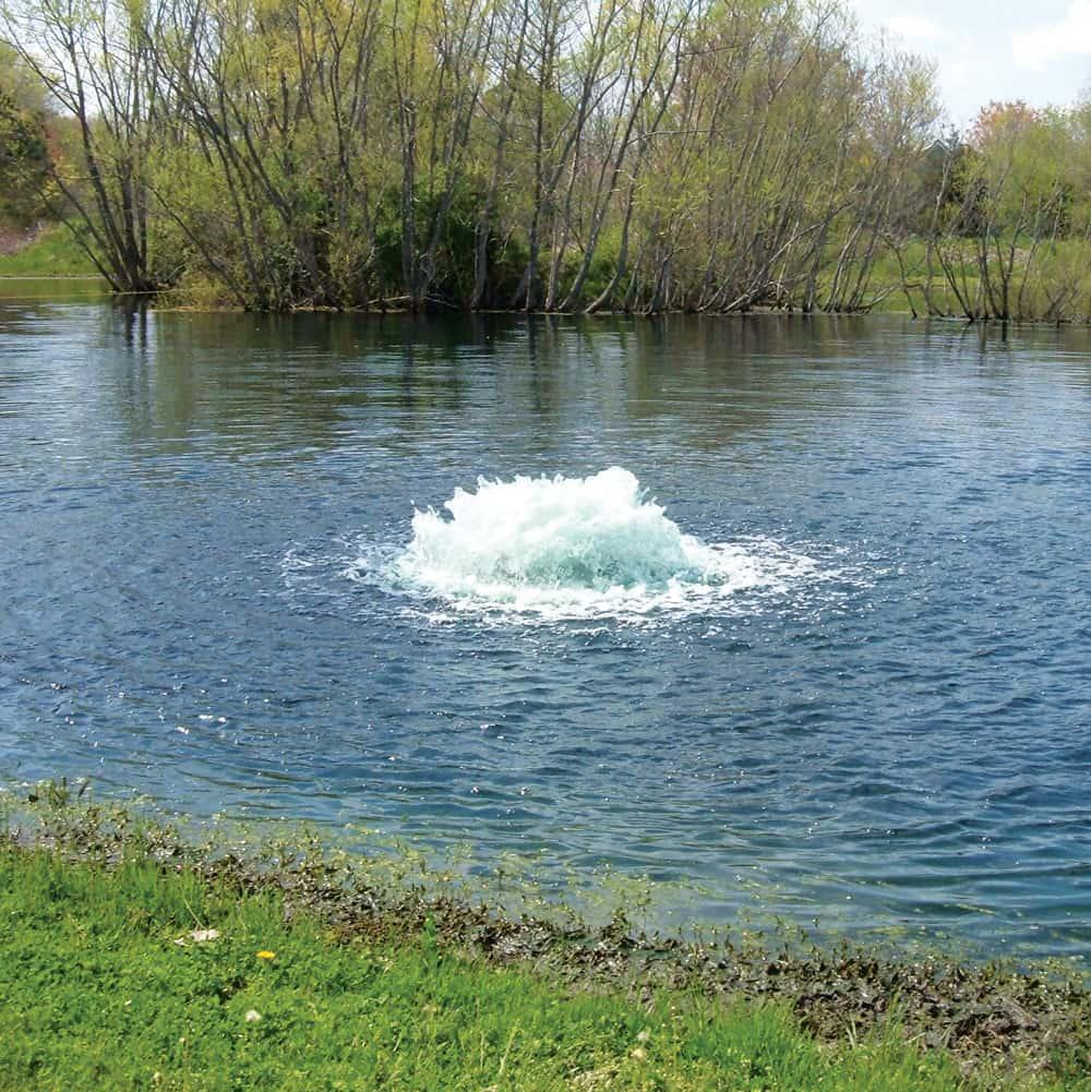 The Importance of Aeration: How Much Aeration Does a Pond Need? — Your ...