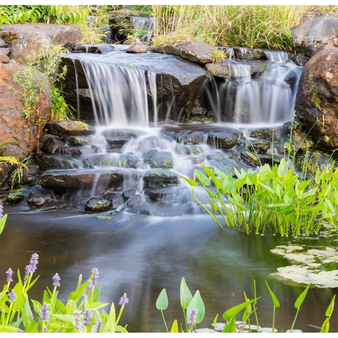 Big Frog 5500 GPH Pump — Your Pond Pros