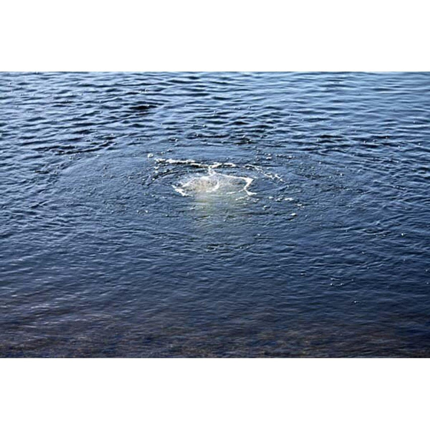 Vertex PondLyfe 2 Aeration System — Your Pond Pros
